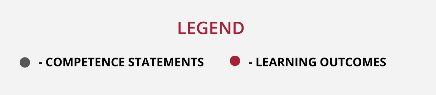 Competence Framework and Curriculum for top level internal QA - QALead